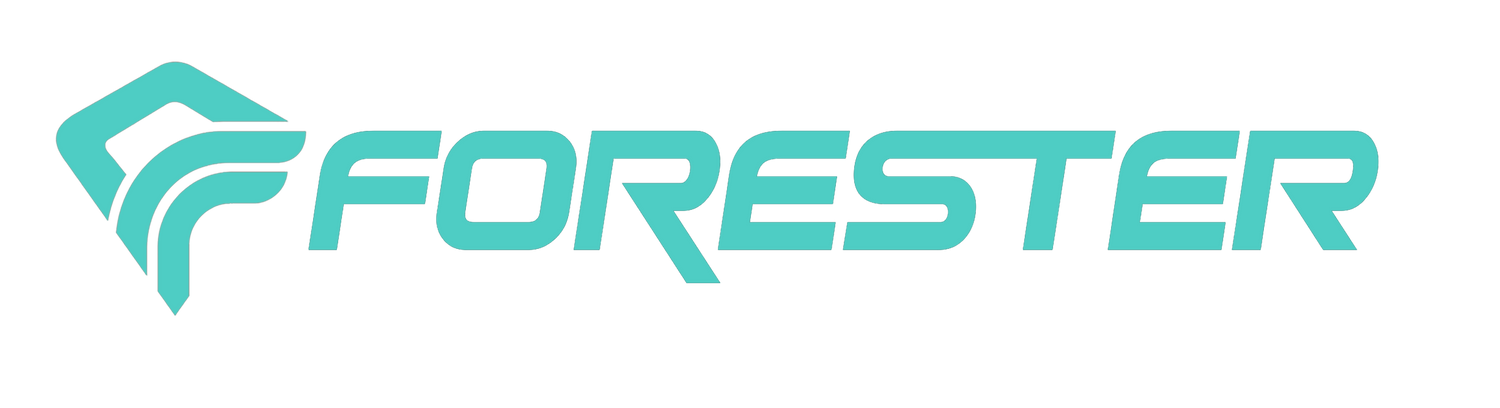 ACTIVITY – Page 6 – Forester Adventure